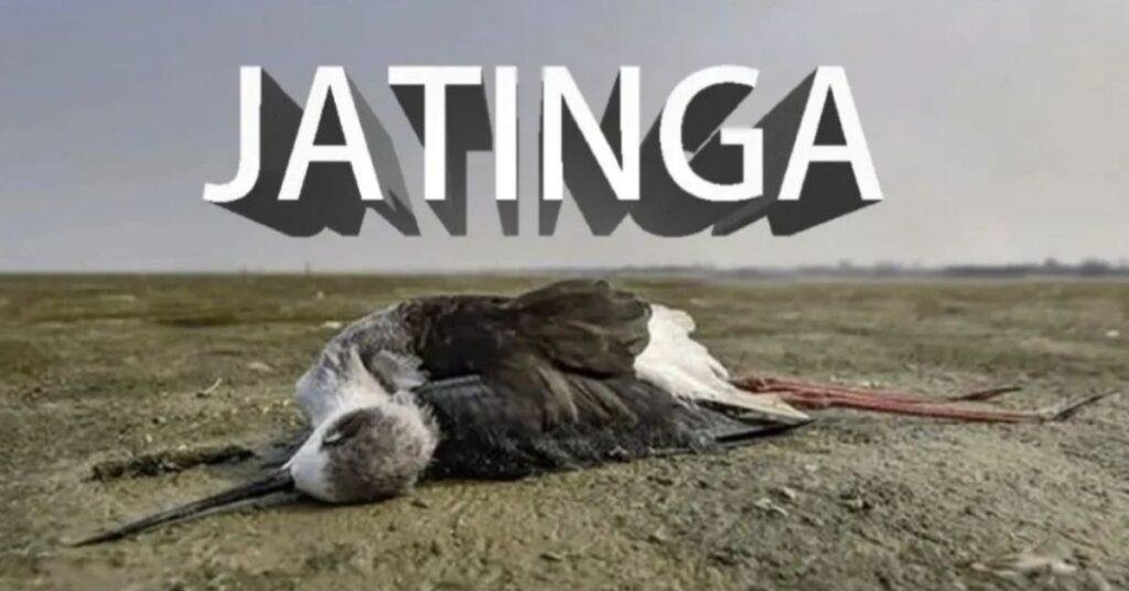 Living Root Bridges of Meghalaya : Location and Details