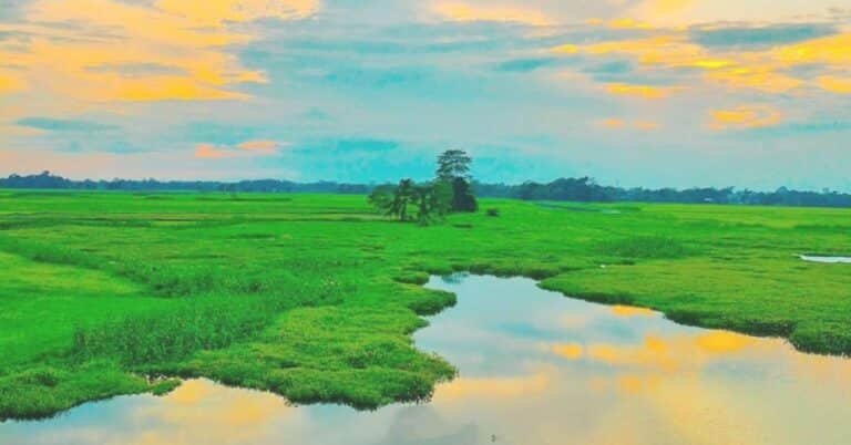 Majuli Island of Assam : History, Festivals and Tourism