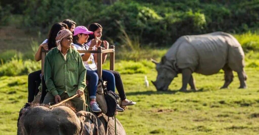 Top 10 Picnic Spot in Lower Assam : Popular Choice