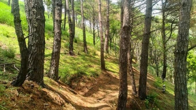 Mt. Tumjang or Sielkal Peak: Trek, Summit and Relax