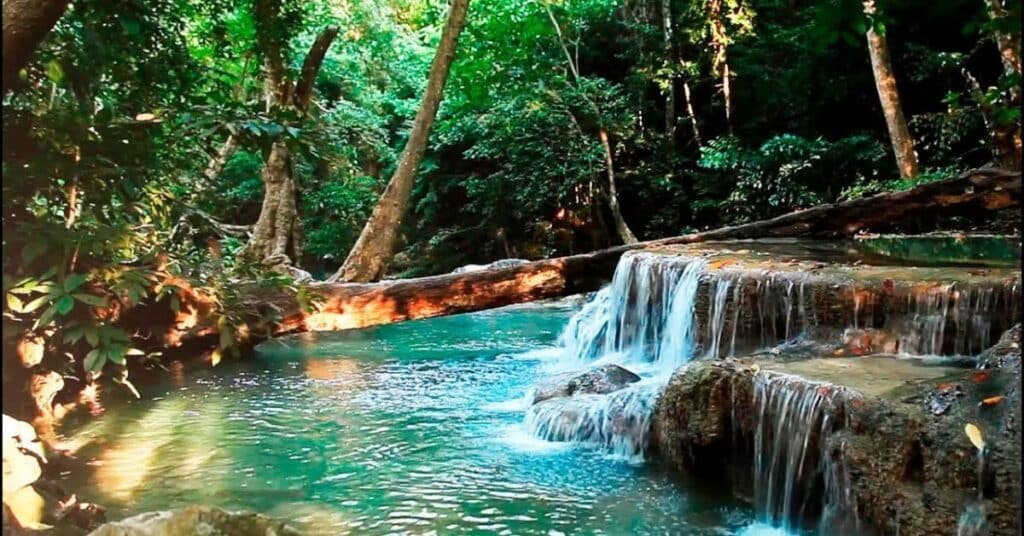 Travel Guide To Mayong Village : Black Magic Capital