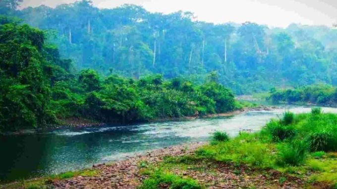 What To Do In Guwahati For A day : Places of Interest