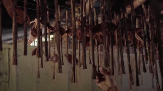 How is Muga Silk Made? From Silkworms to Golden Muga Fabric